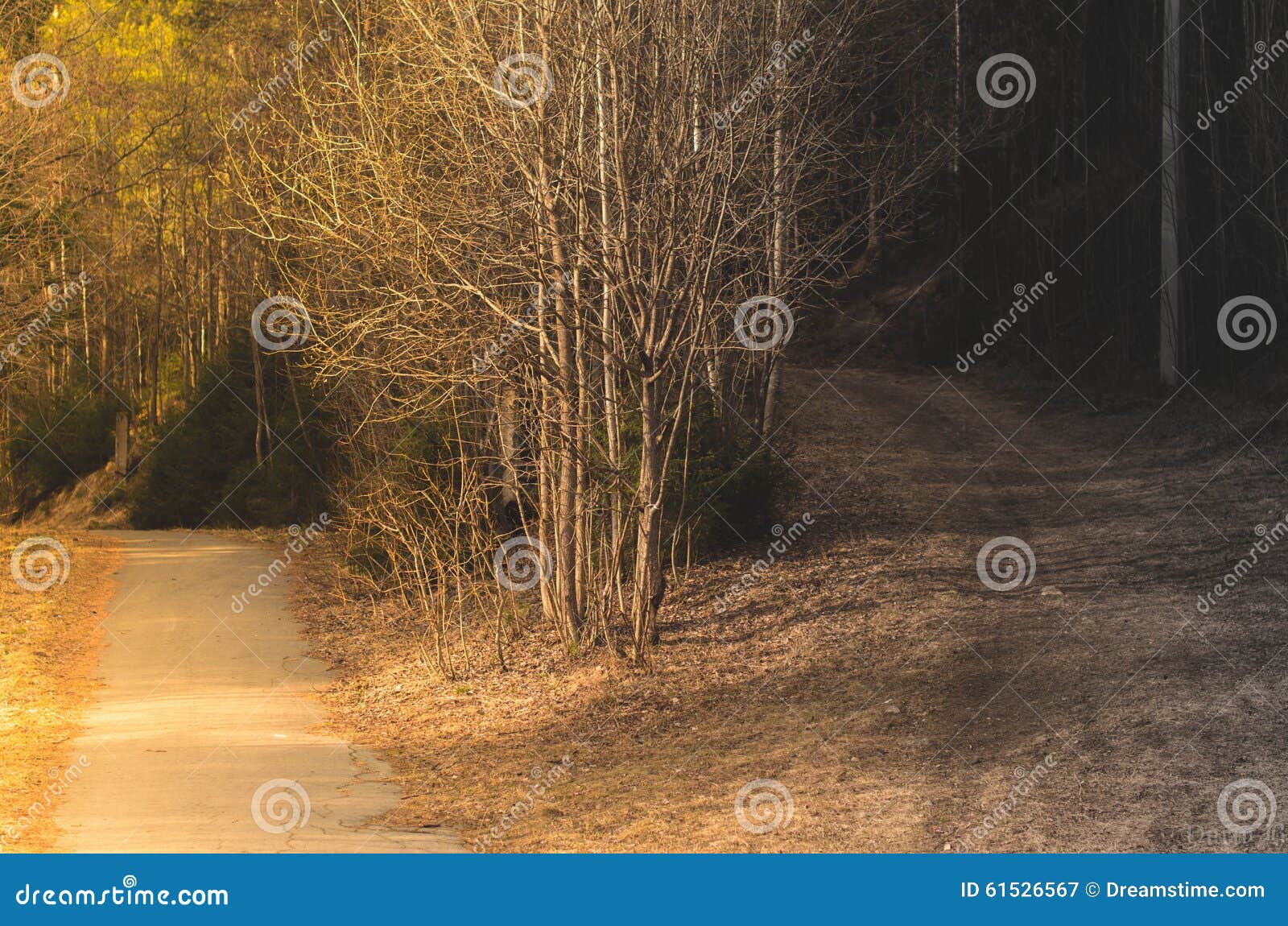 Path Fork Church Stock Photos - Free & Royalty-Free Stock Photos from ...