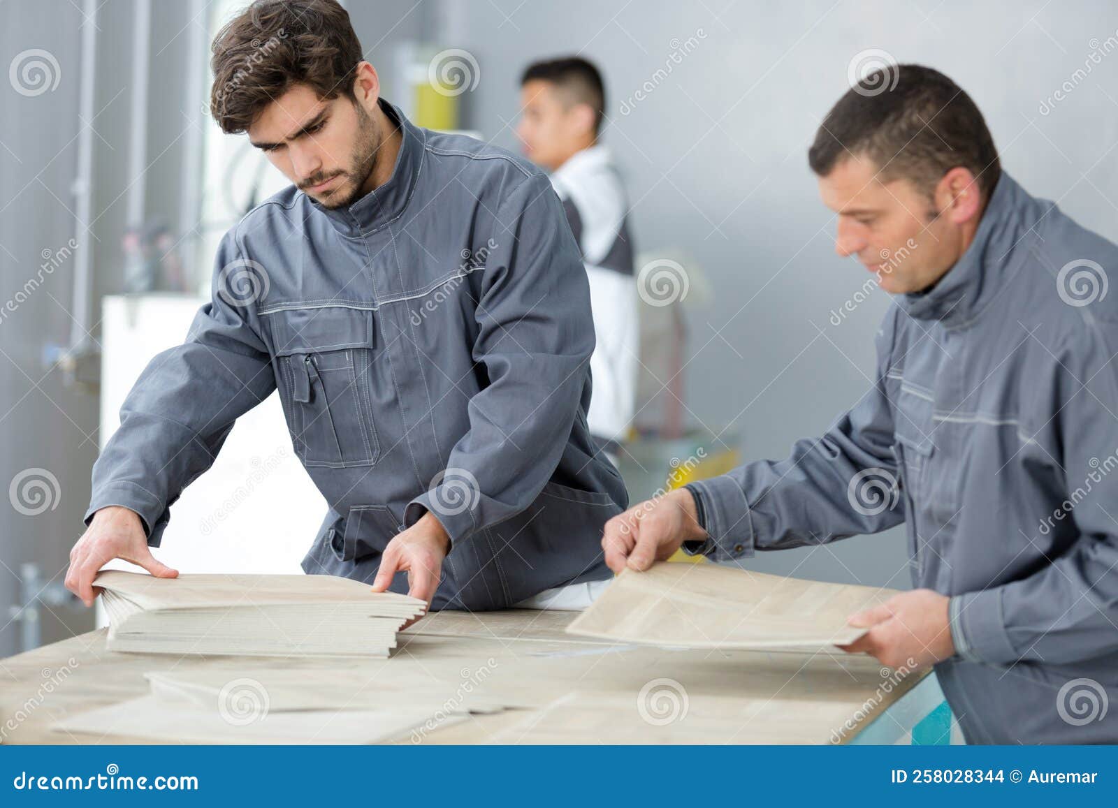 Choosing Material Sheets To Use Stock Photo - Image of apprentice, sand ...
