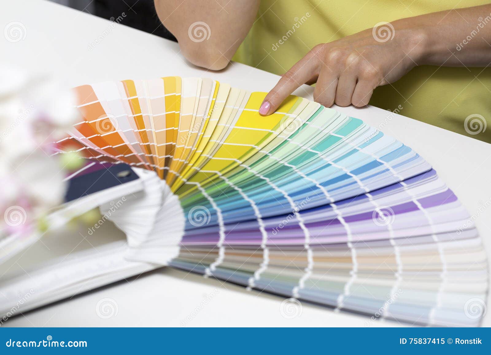 Choosing Paint Color from Tone Samples Stock Image - Image of color ...