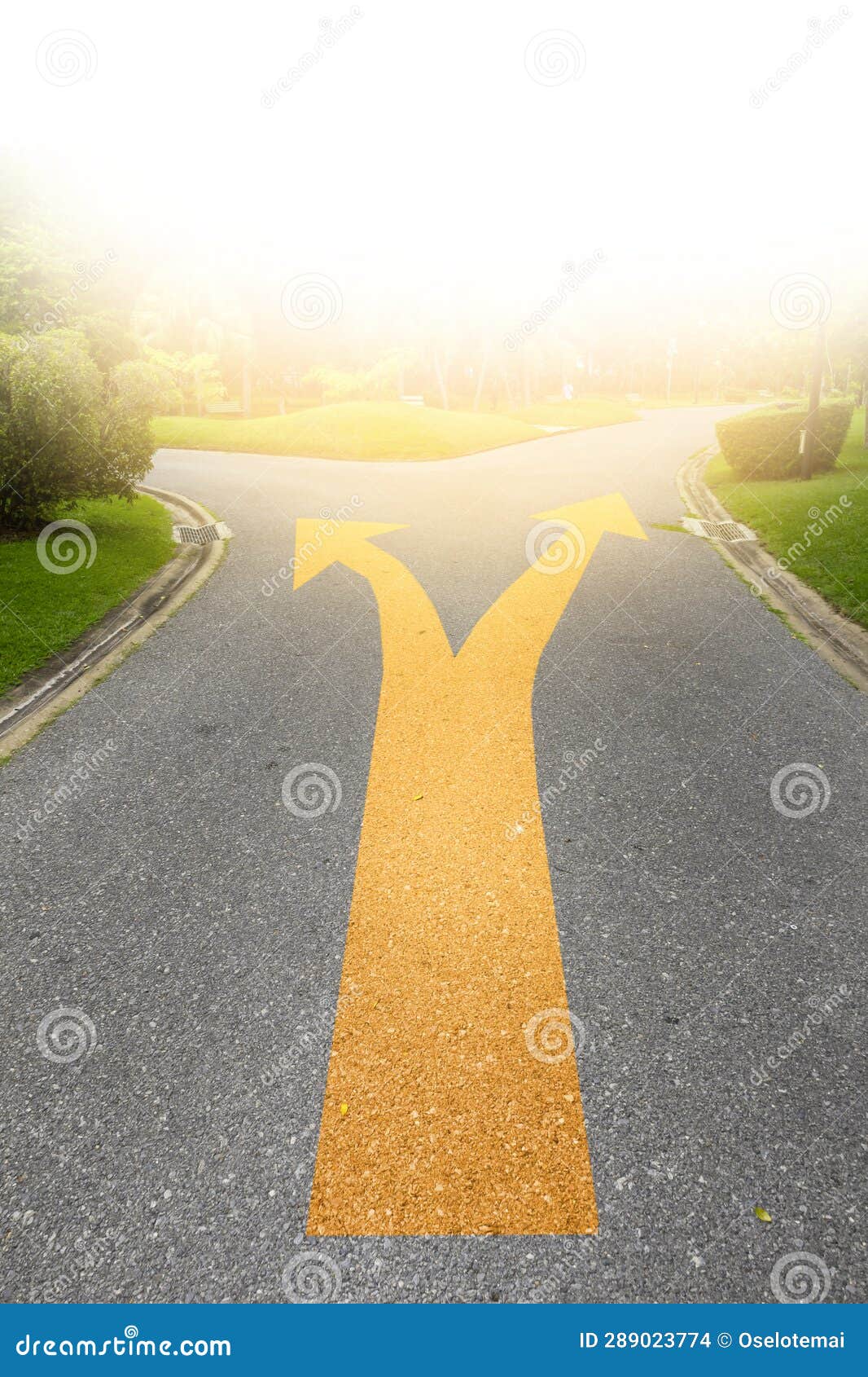 Choosing between Two Options, the Concept of Progressing in Employment ...