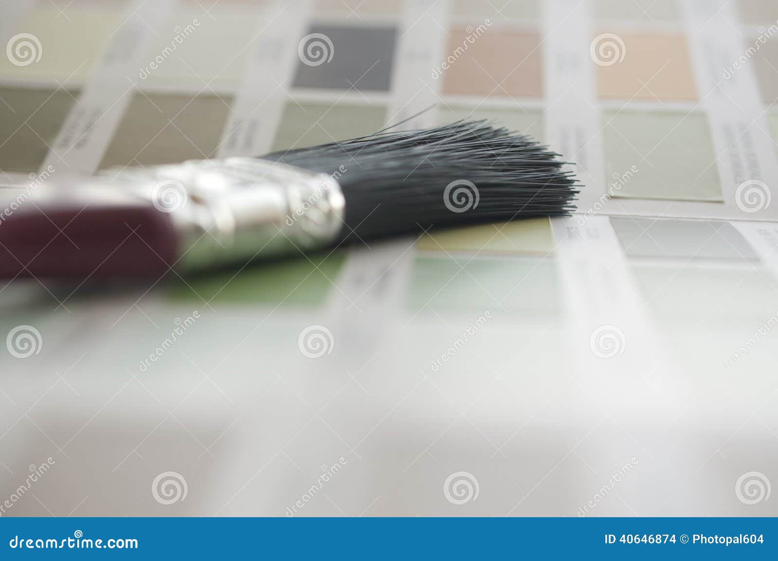 Choosing Your Color With Sample Color Chart Royalty-Free Stock Photo ...