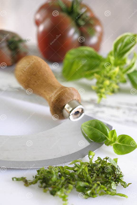 Chopped basil and chopper stock photo. Image of chopper - 23707730