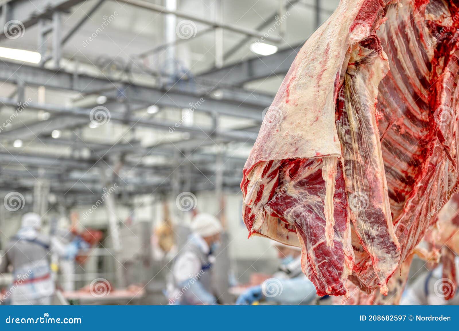 Chopped beef carcasses. stock image. Image of pork, meat - 208682597