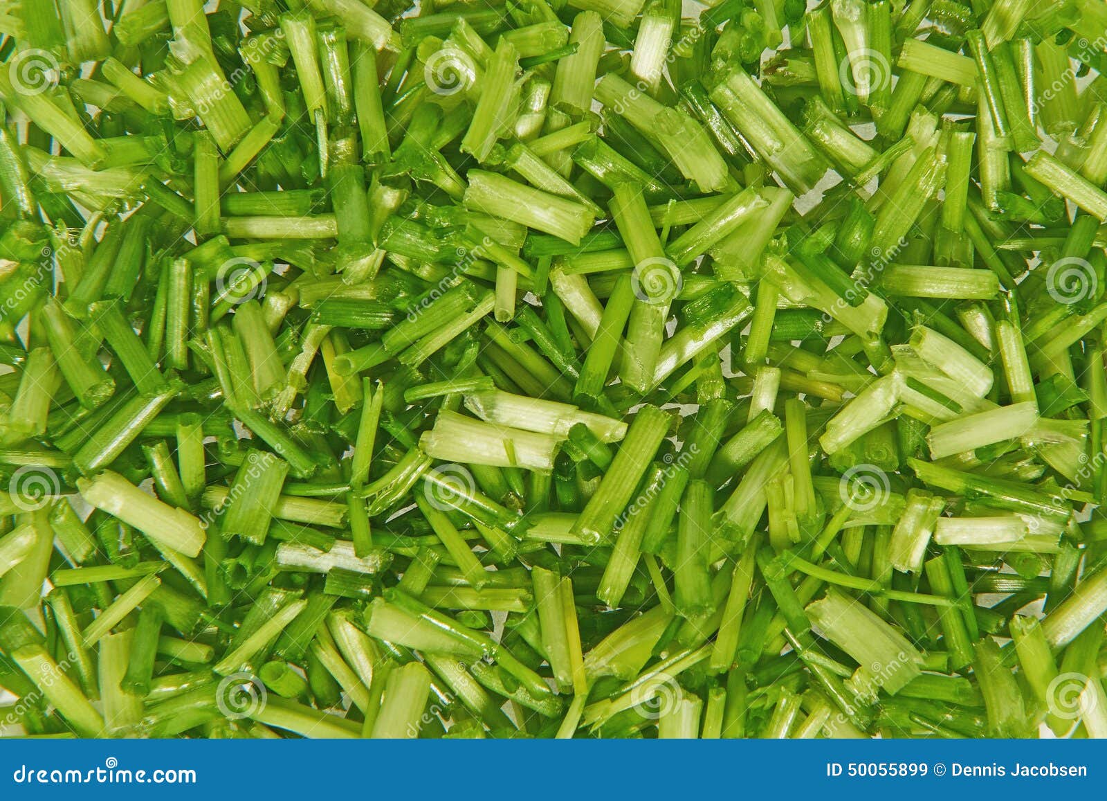 Chopped chives stock image. Image of ingredient, vitamins - 50055899