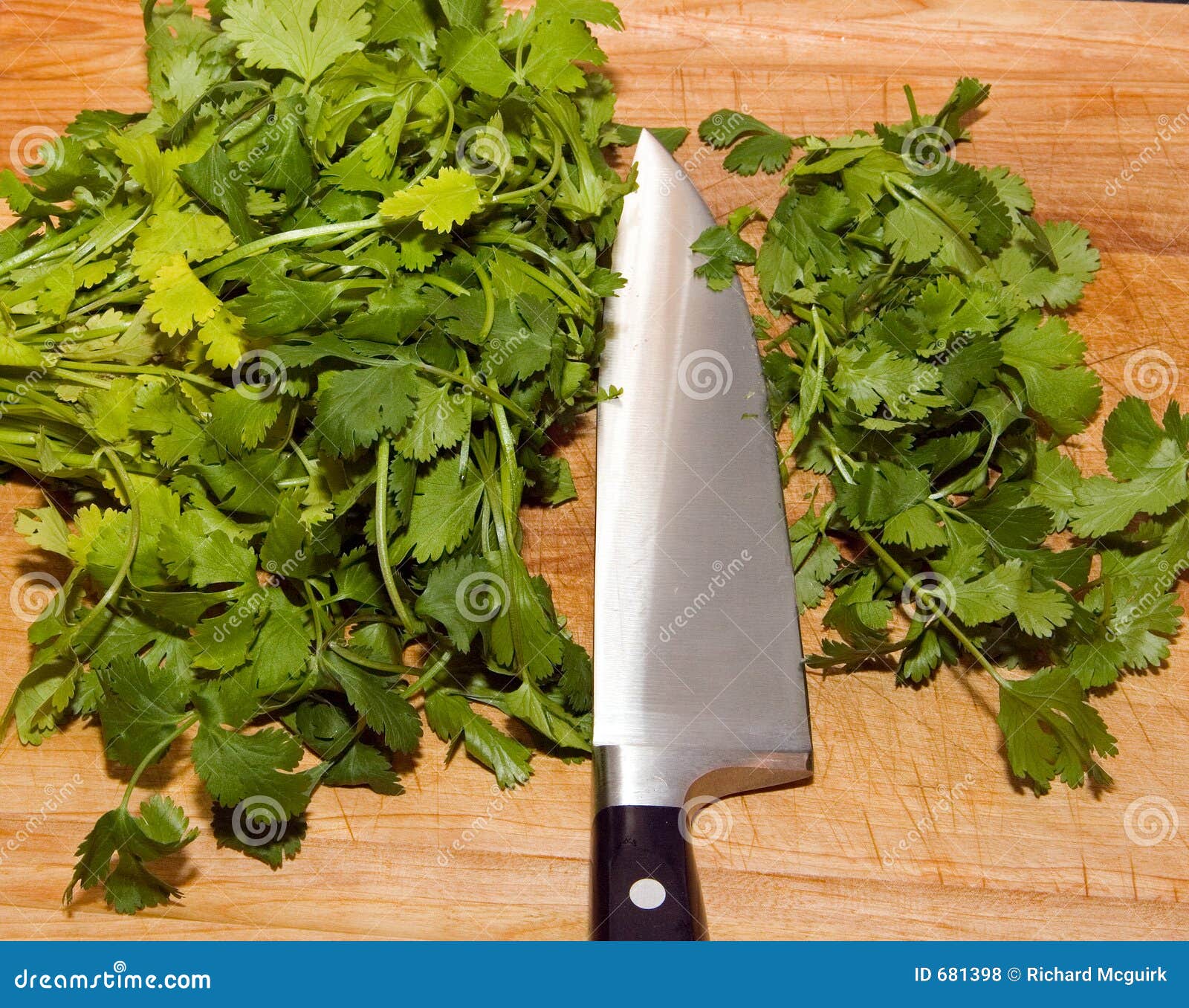 Chopped Cilantro stock photo. Image of eating, dice, farming - 681398