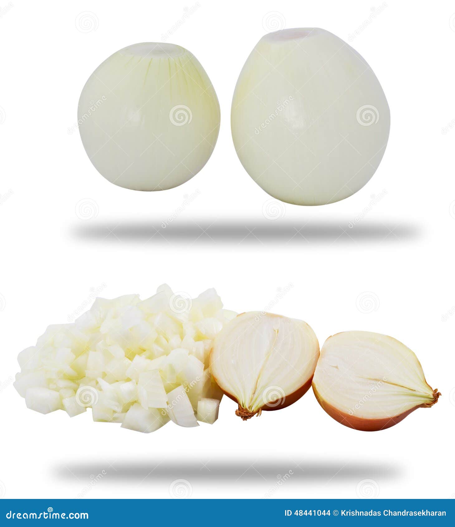 Chopped and cleaned onions stock photo. Image of bulbs - 48441044