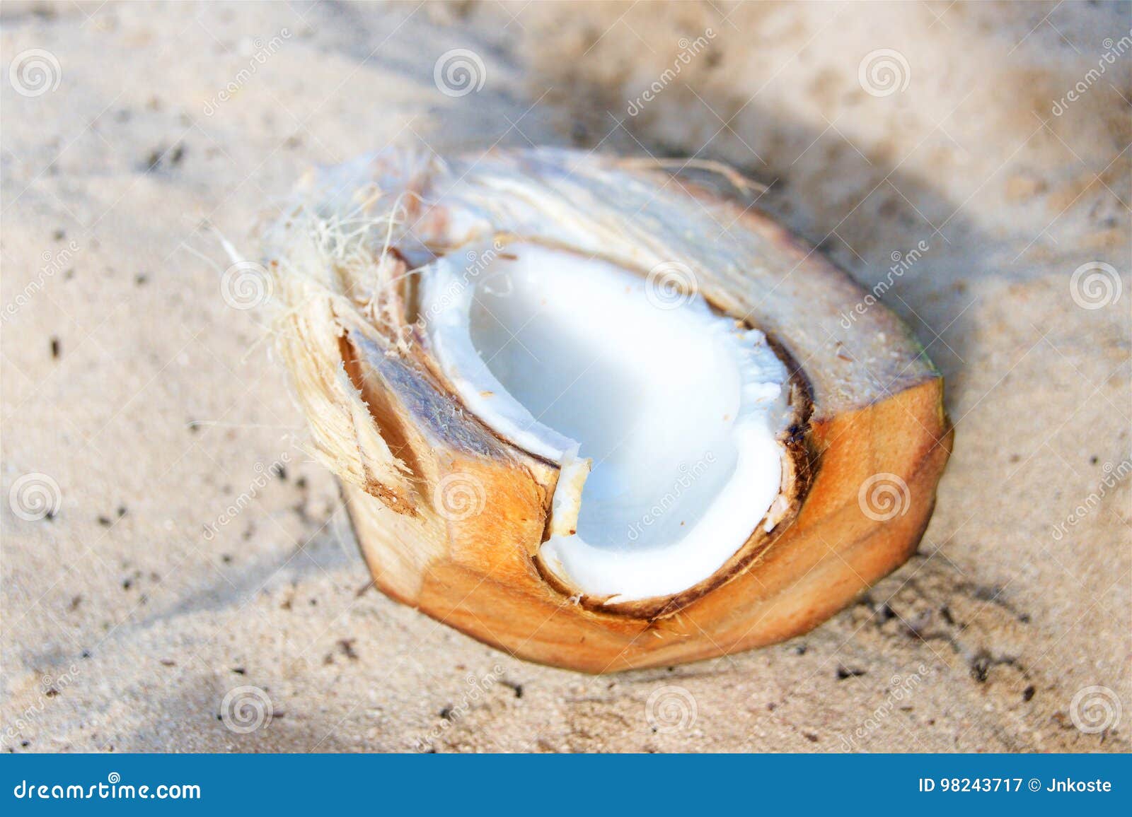 Chopped Coconut with Coconut on the Beach Stock Image - Image of ...