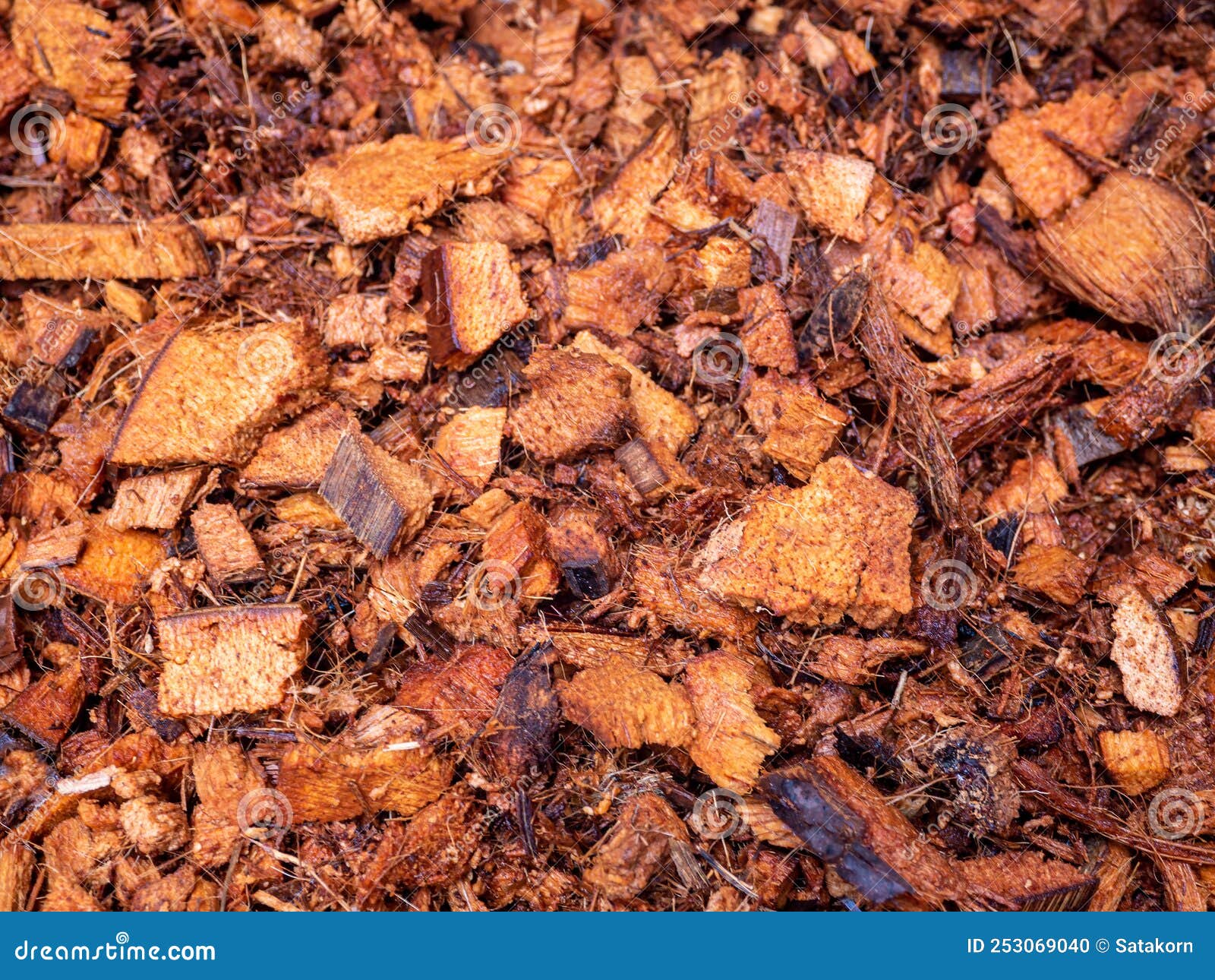 Chopped Coconut Husks for Use As Planting Material Stock Photo - Image ...