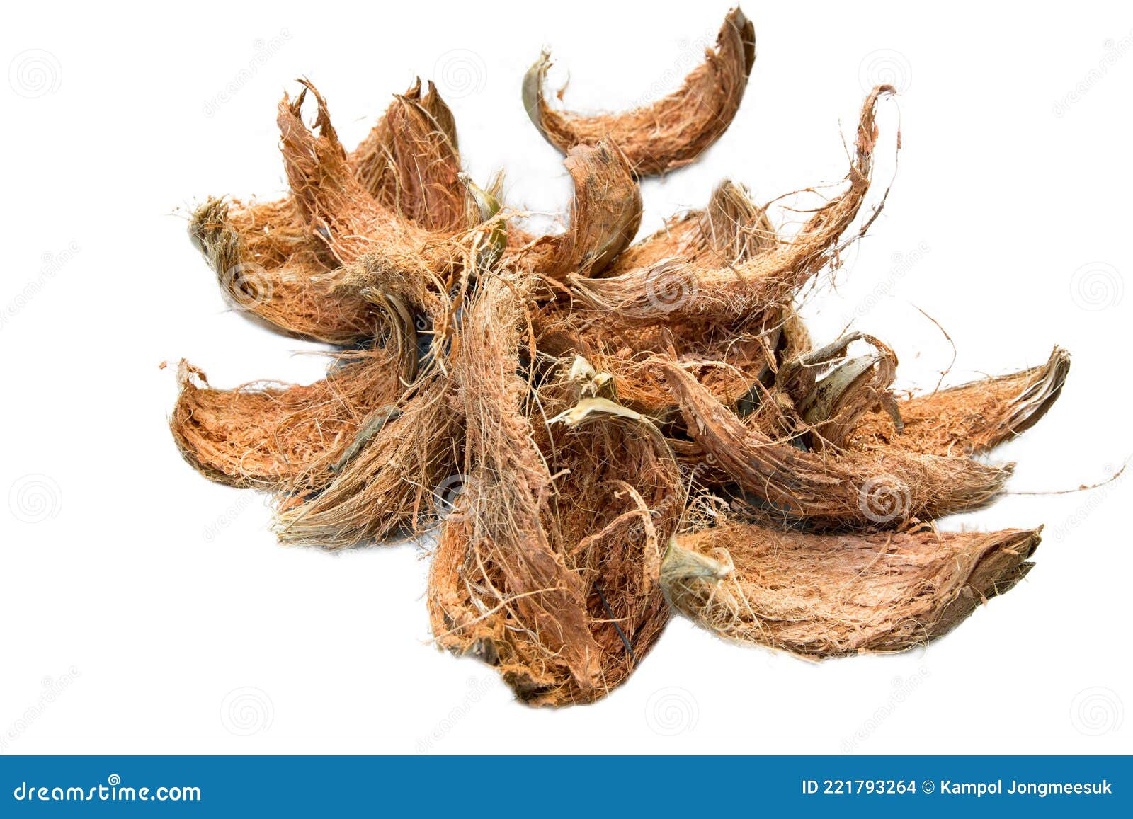 Chopped coconut pulp stock photo. Image of brash, closeup - 221793264
