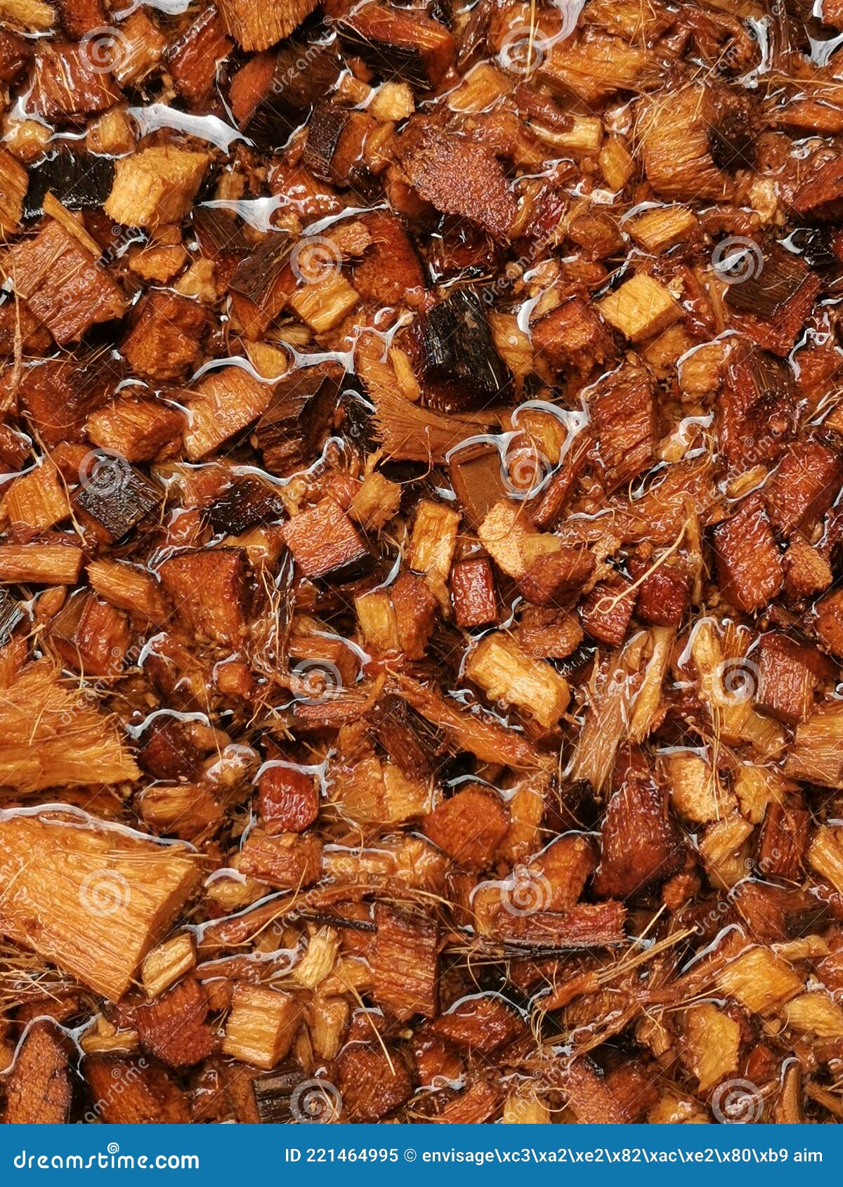 Chopped Coconut Pulp is Used As Planting Material. Stock Image - Image ...