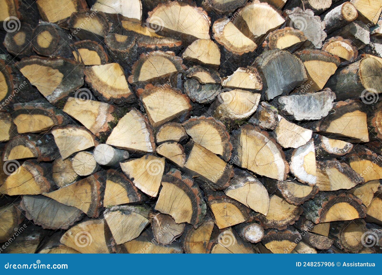 Chopped and Cut Firewood Stacked in Rows Stock Photo - Image of rough ...