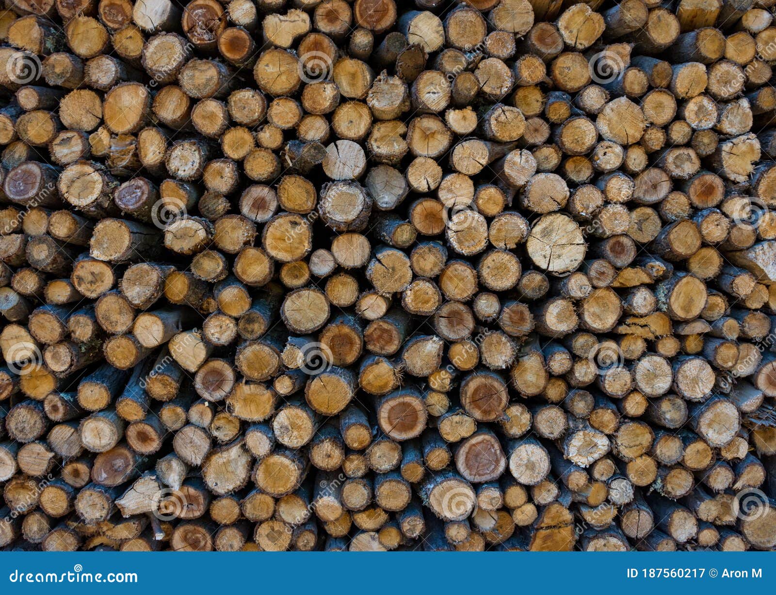 Chopped Down Tree Trunks Stacked in a Storage Yard Stock Image - Image ...
