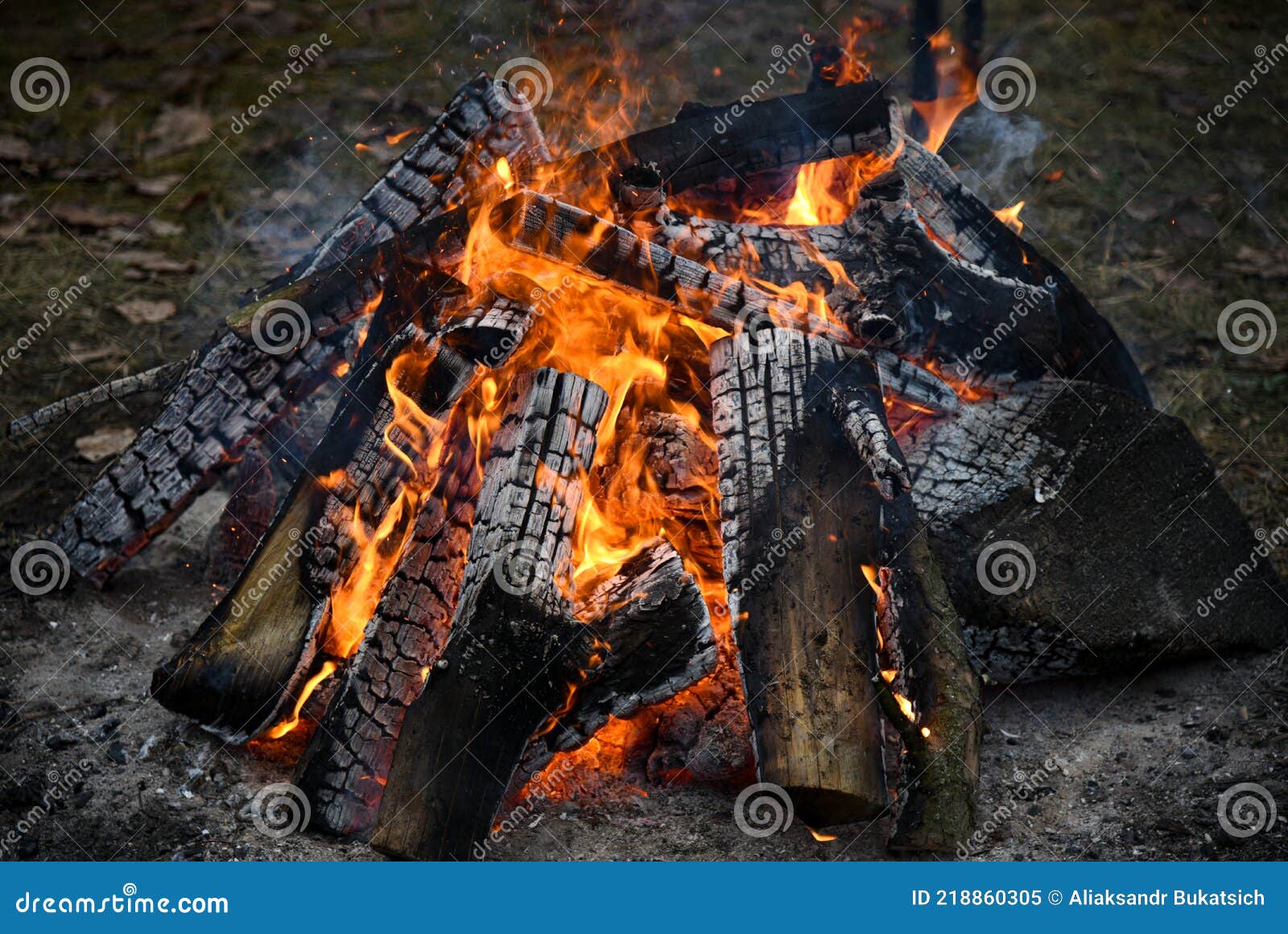 Chopped Dry Firewood Burns in a Fire in Nature Stock Image - Image of ...