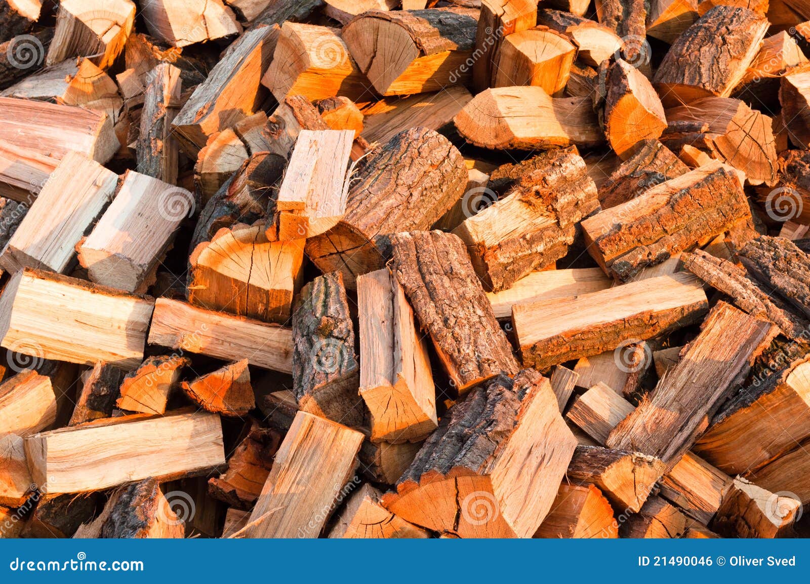Chopped fire wood stock photo. Image of resource, forest - 21490046