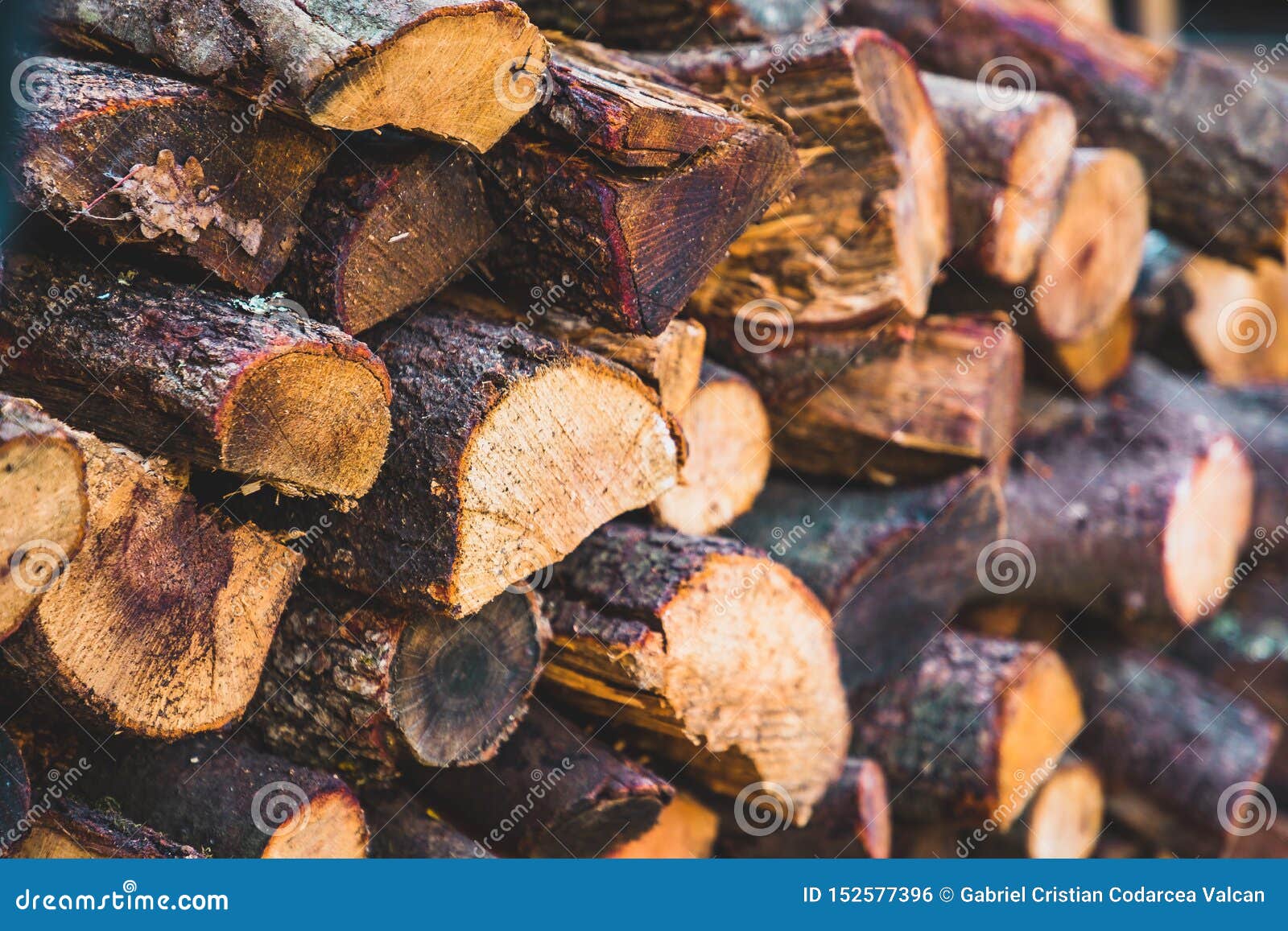 Chopped Fire Wooden Logs Perspective Stock Photo - Image of piled ...