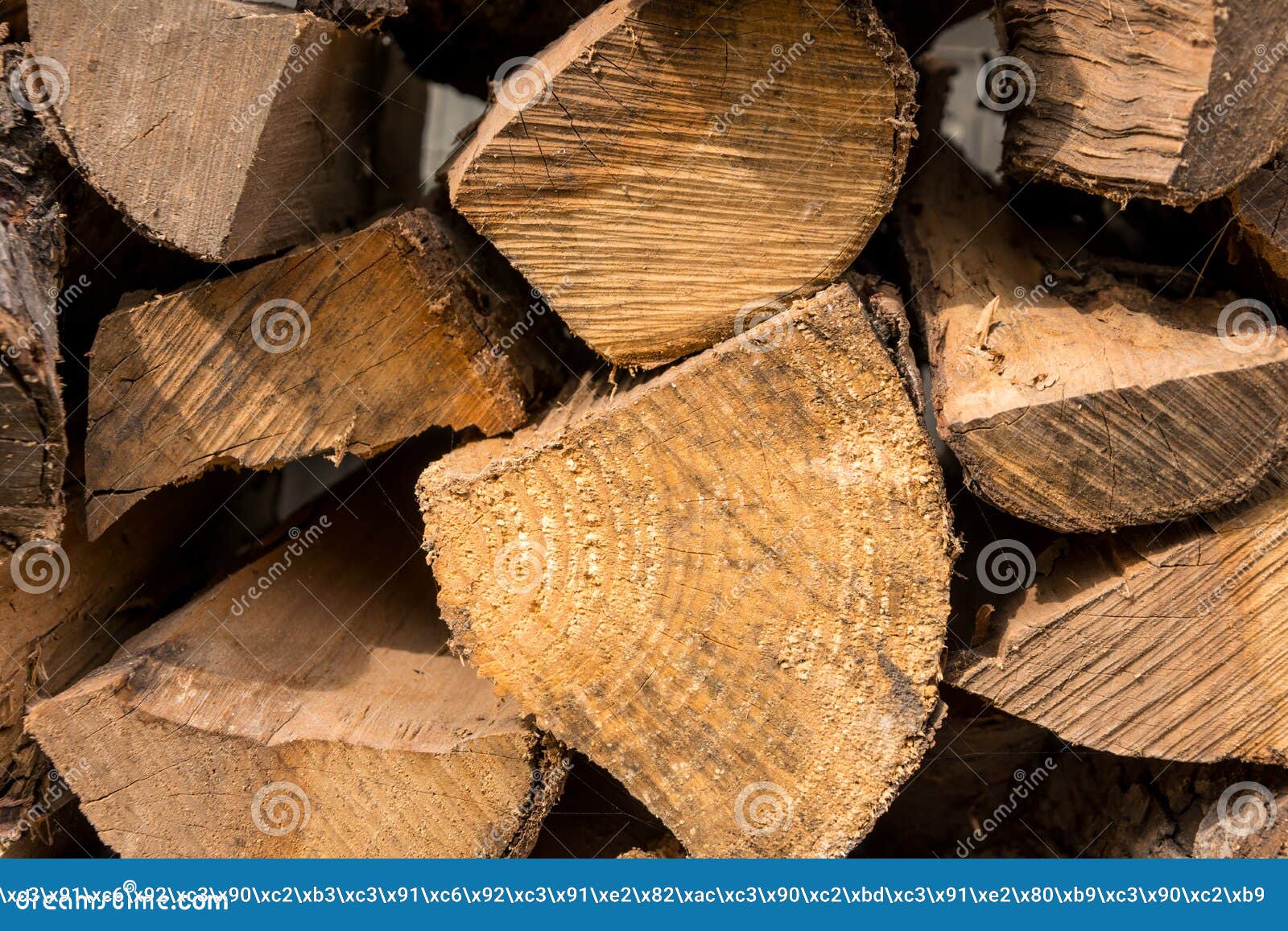 Chopped Firewood for a Fire Stacked Chaotically Pine, Nut, Mulberry ...
