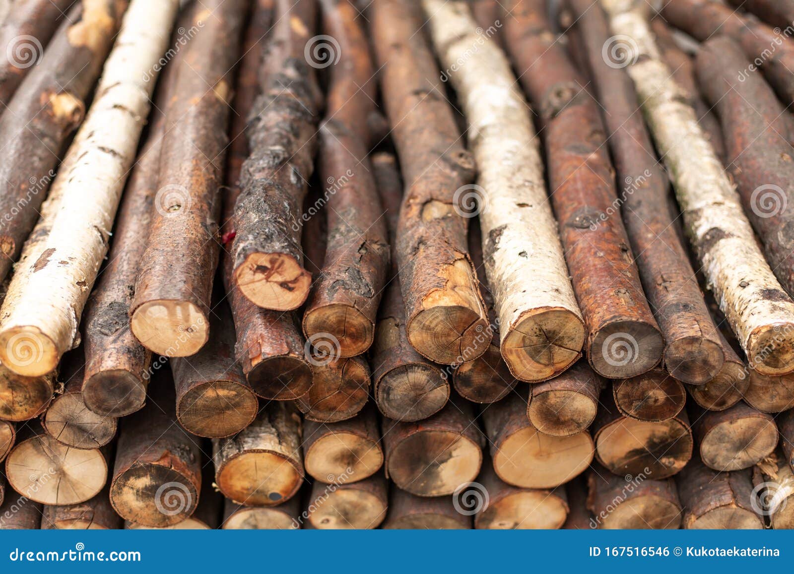 Chopped Firewood Logs in Rows. Wood Texture Stock Photo - Image of ...