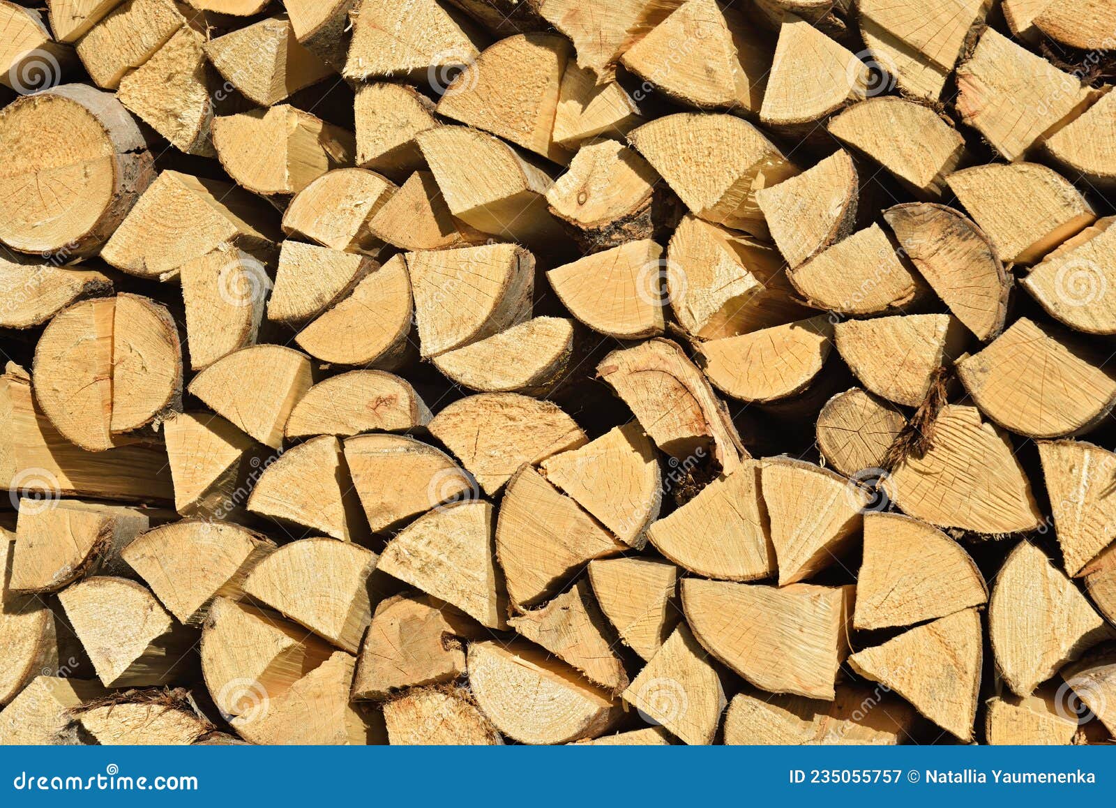 Chopped Firewood Stacked Between Two Trees Royalty-Free Stock Photo ...
