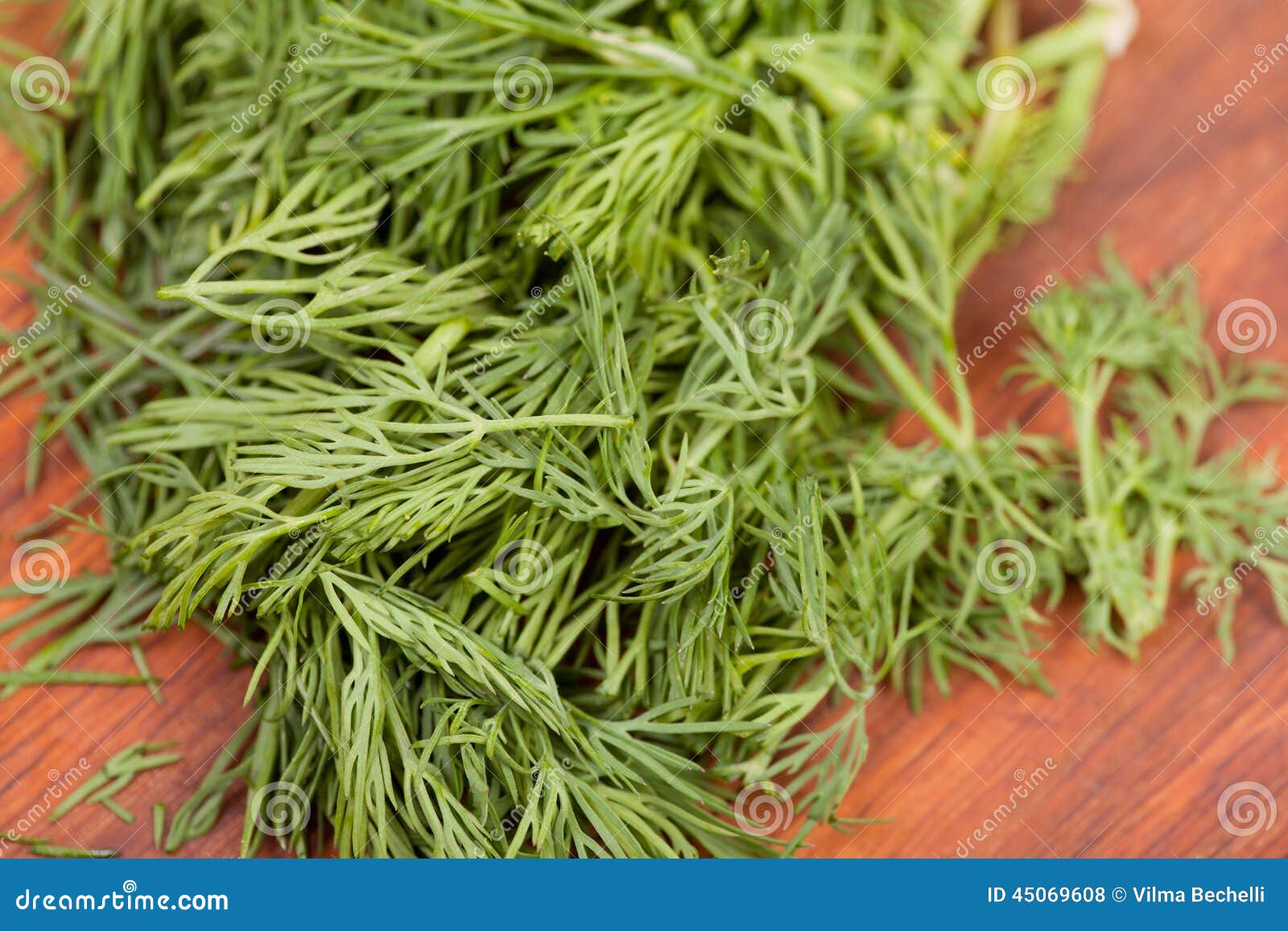 Chopped fresh dills stock photo. Image of still, bunch - 45069608