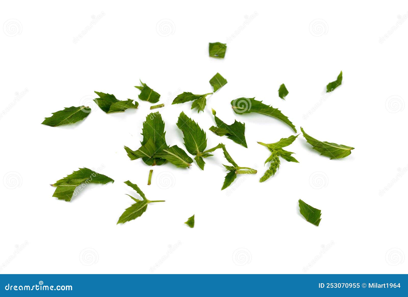 Chopped Fresh Mint Leaves on White. Spice Chopped Mint Stock Image ...