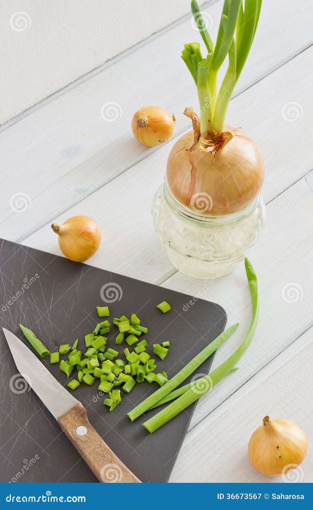Chopped fresh onion stems stock image. Image of indoors - 36673567