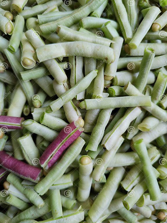 Chopped jasmine beans stock image. Image of soil, meal - 276739331