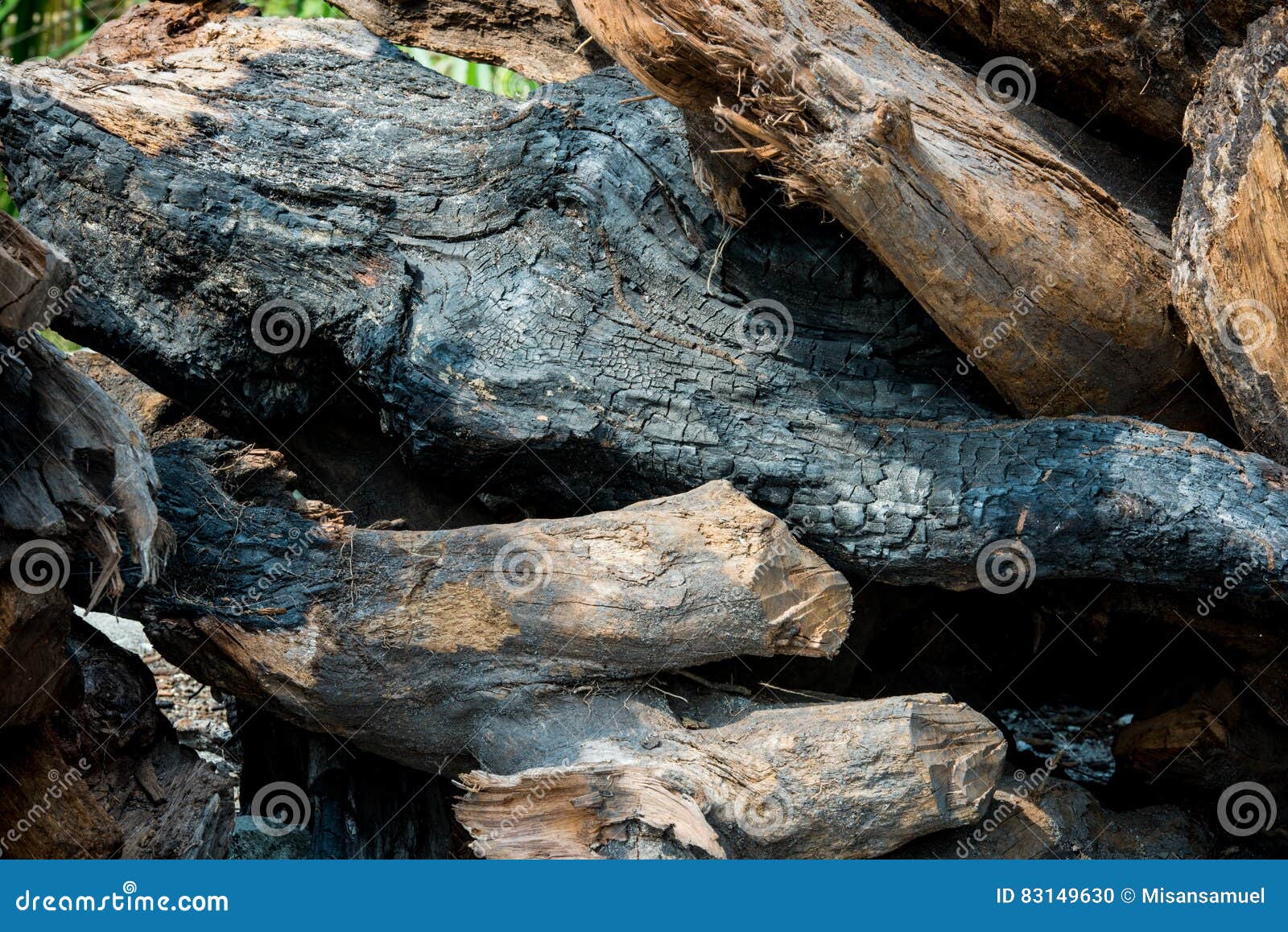 Chopped logs of wood stock photo. Image of plank, felled - 83149630