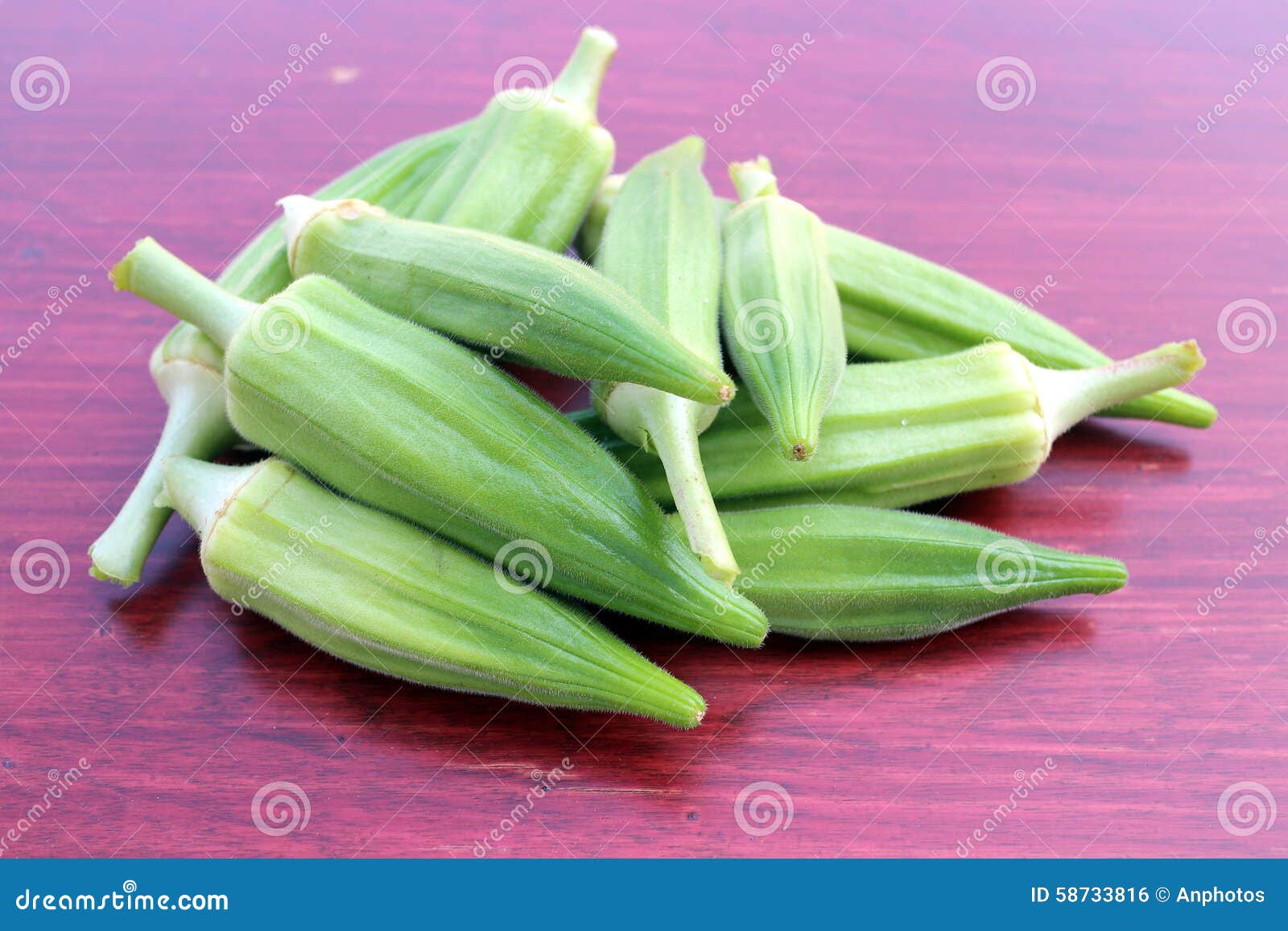 Okra,Abelmoschus Esculentus Leaf Isolated On White Background Royalty ...