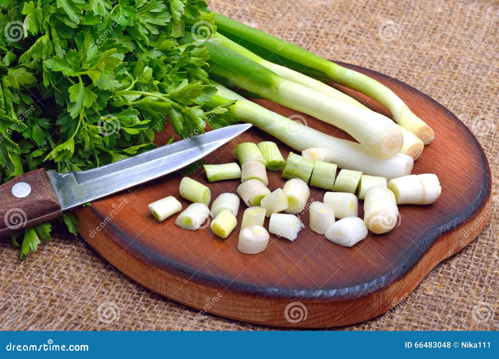 Chopped Onion on the Cutting Board Stock Photo - Image of crispbread ...