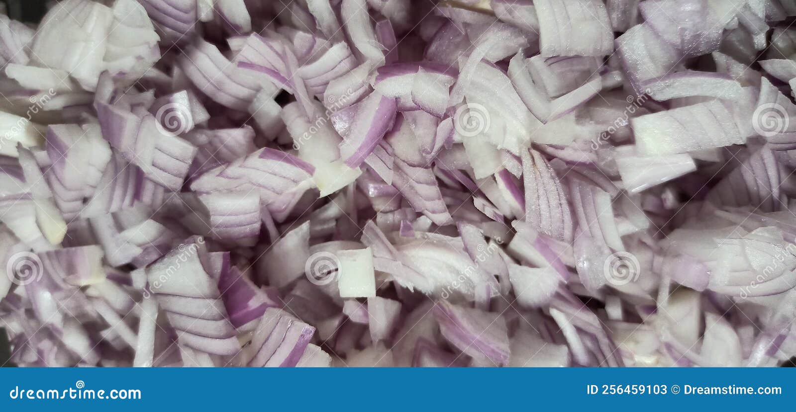 Chopped onions stock image. Image of lavender, petal - 256459103