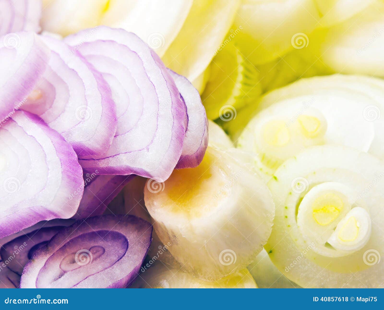 Chopped onions stock photo. Image of drink, salat, housework - 40857618