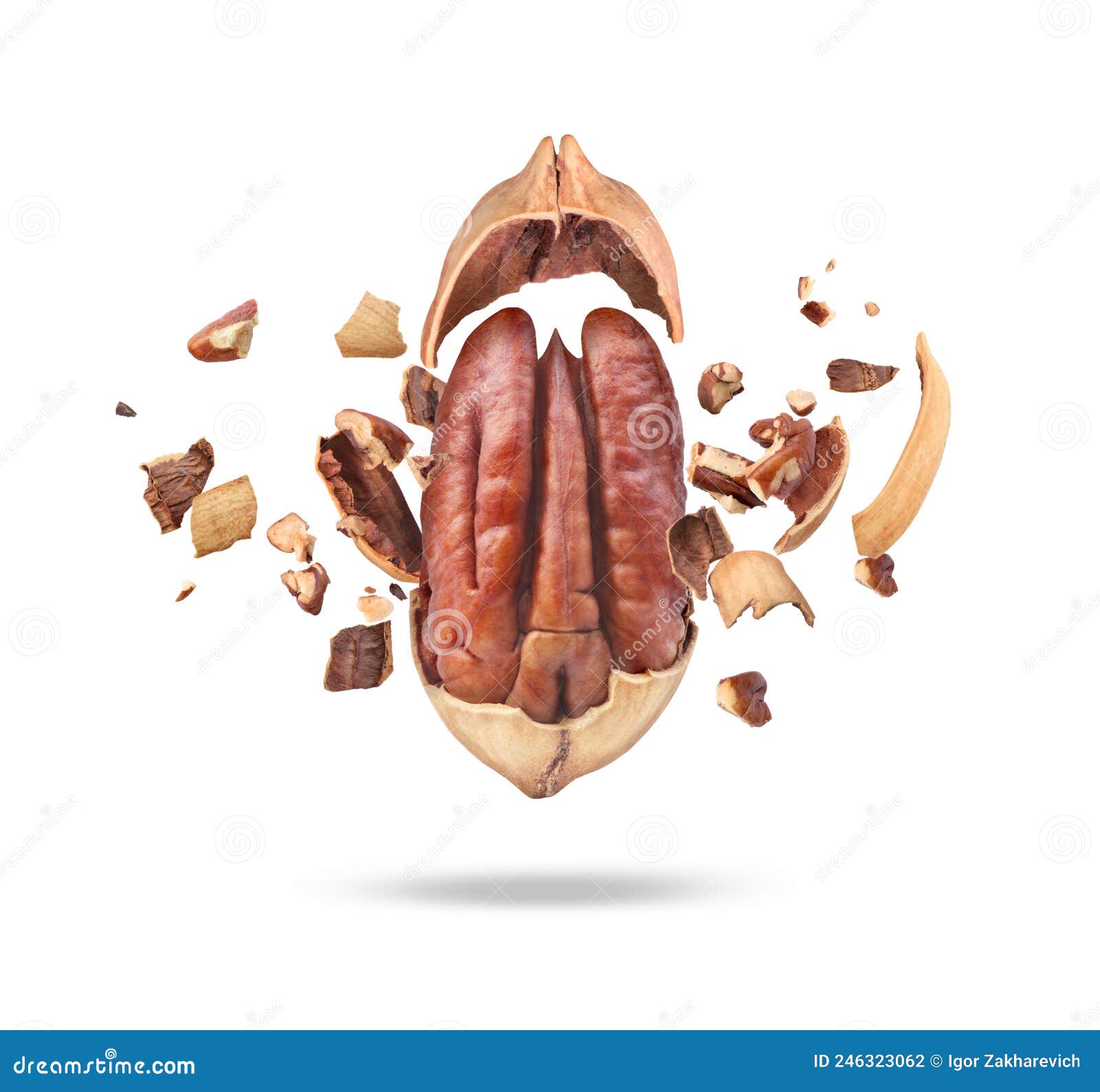 Chopped Pecan Nuts with Shells on White Plate in the Air Stock Photo ...