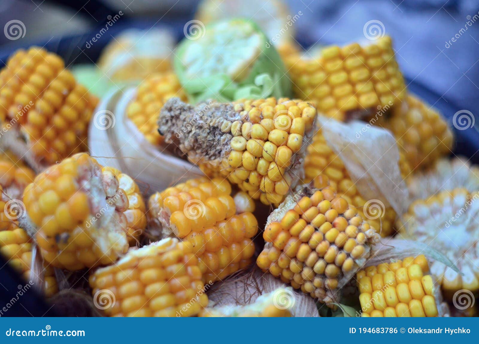 Chopped Pieces of Corn in a Bucket Stock Photo - Image of maize, leaf ...