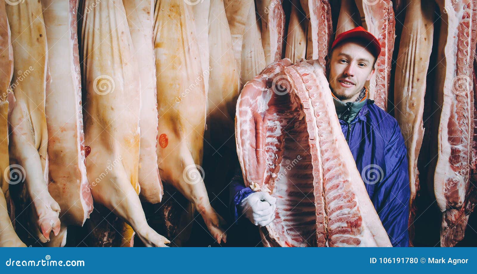 Chopped pig at a factory stock photo. Image of factory - 106191780