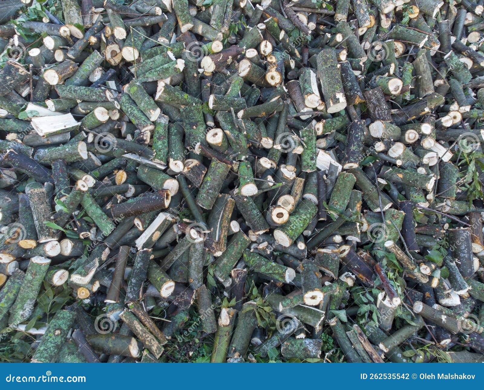 Chopped Round Firewood. a Pile of Firewood. Stock Photo - Image of pile ...