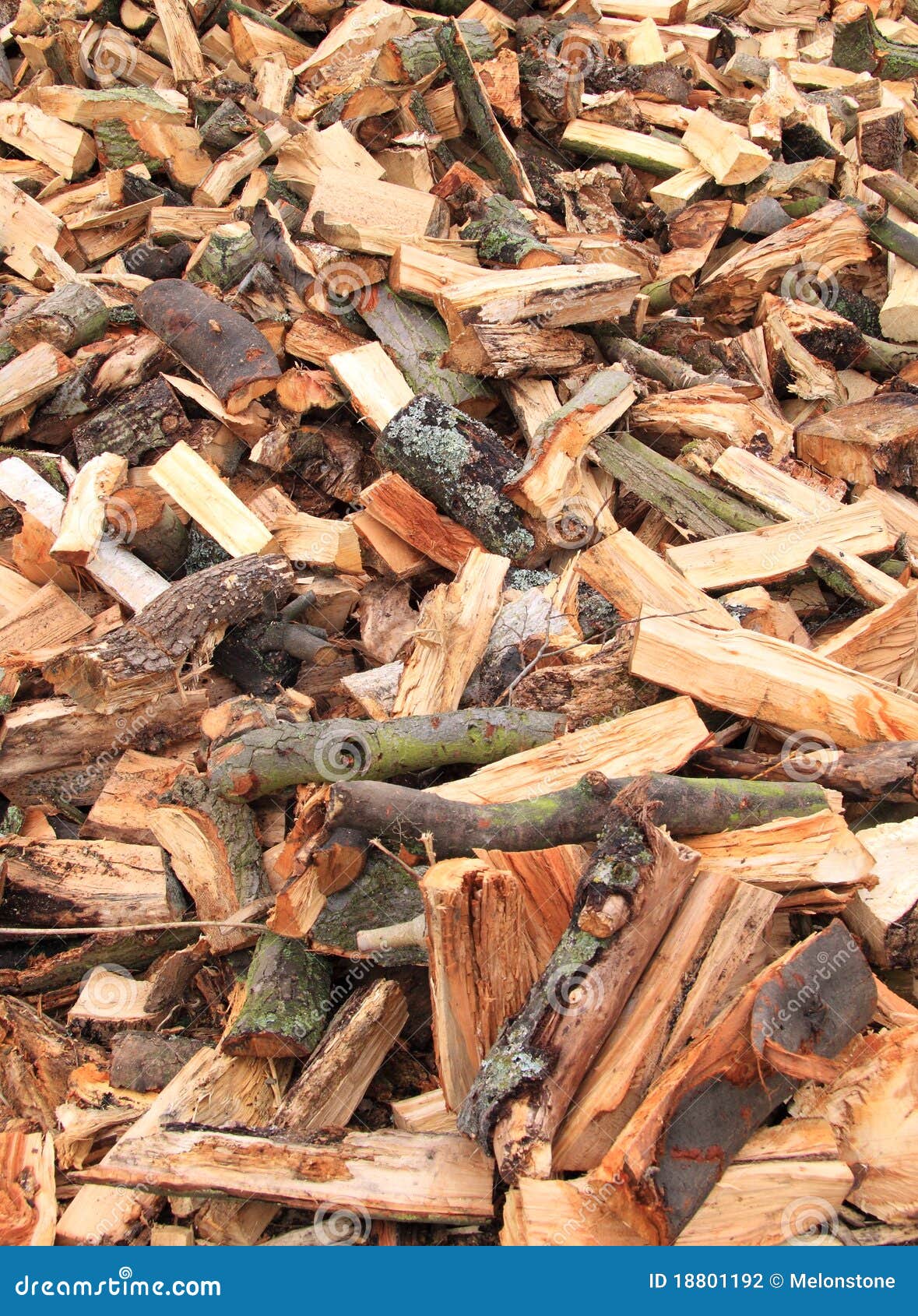 Chopped split logs stock photo. Image of logs, texture - 18801192