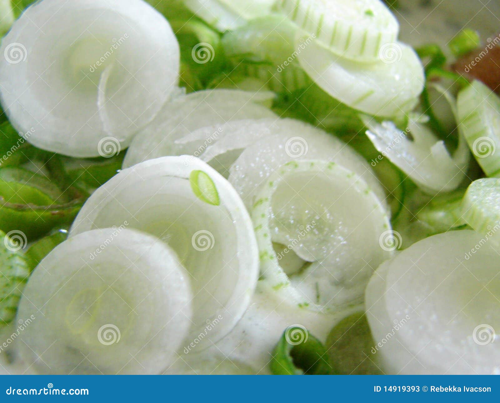 Chopped spring onions stock image. Image of herb, food - 14919393