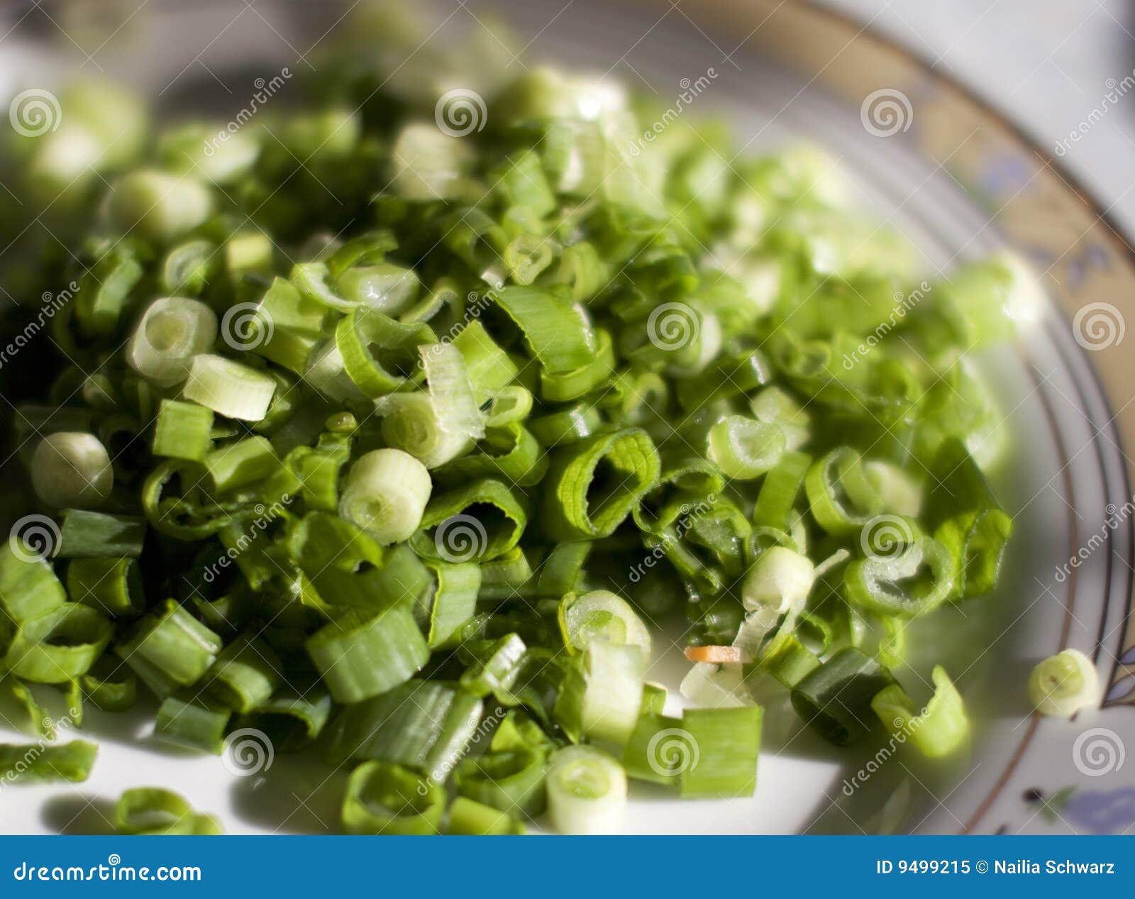 Chopped Spring Onions stock image. Image of fresh, nutrition - 9499215
