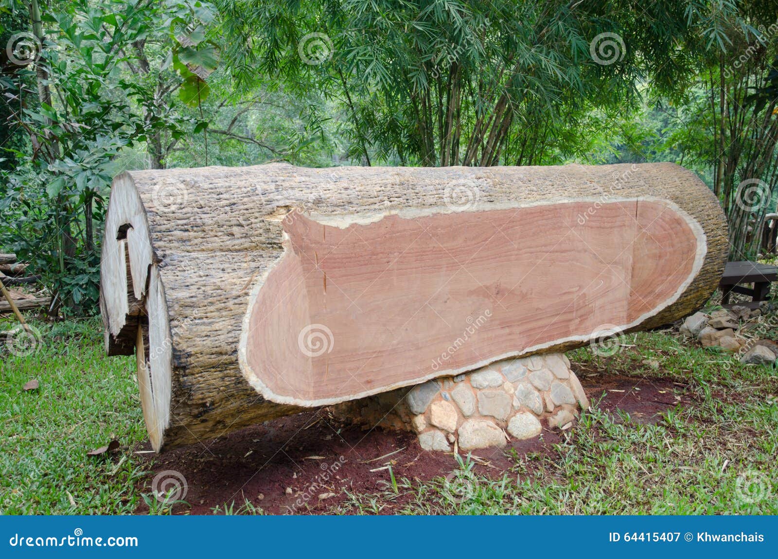 Chopped Tree Log Lies on the Ground Stock Image - Image of park ...