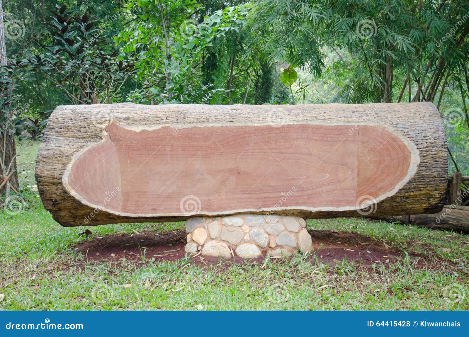 Chopped Tree Log Lies on the Ground Stock Photo - Image of genus ...
