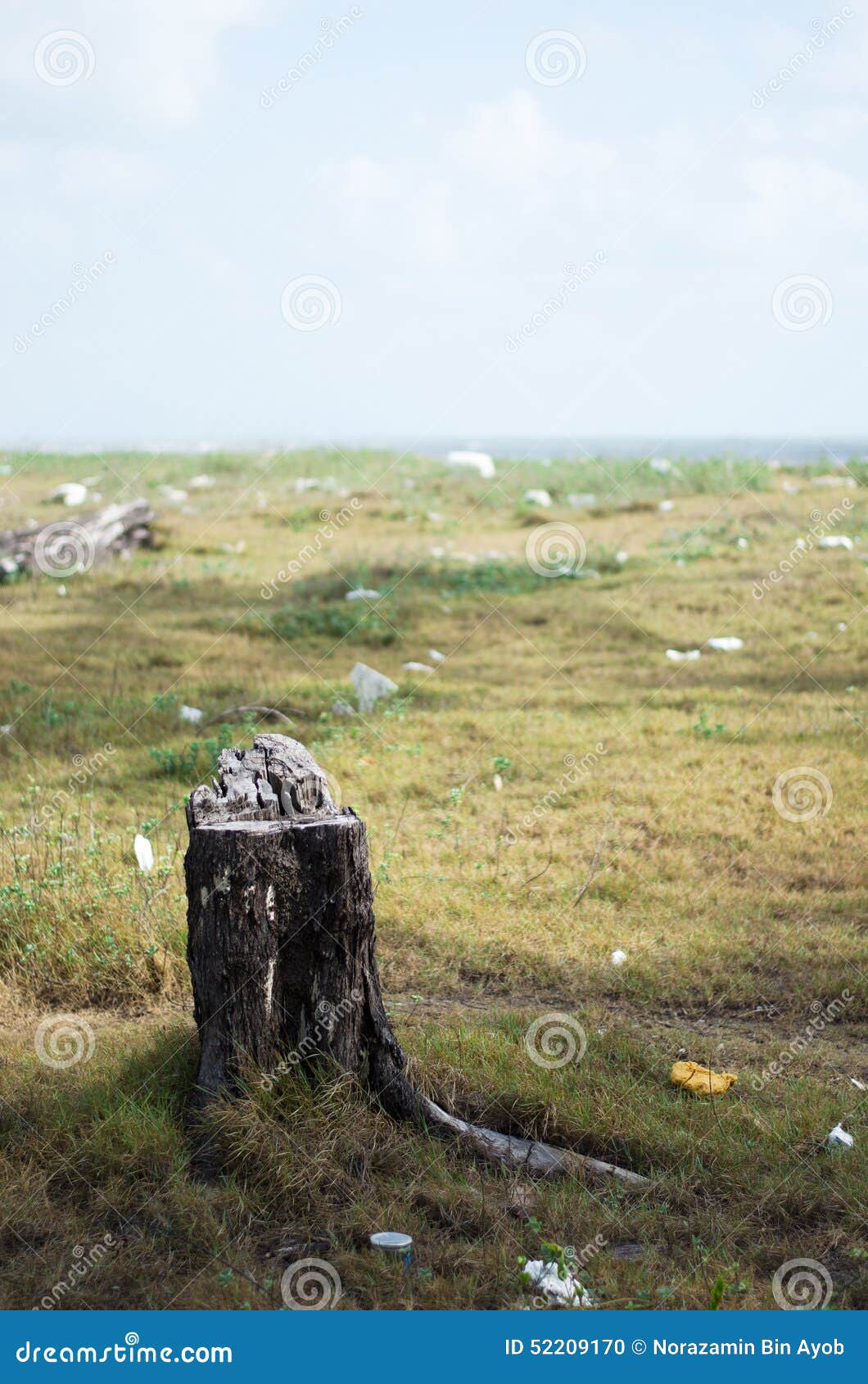 Chopped Tree with Trash Nature Abuse Stock Photo - Image of ...