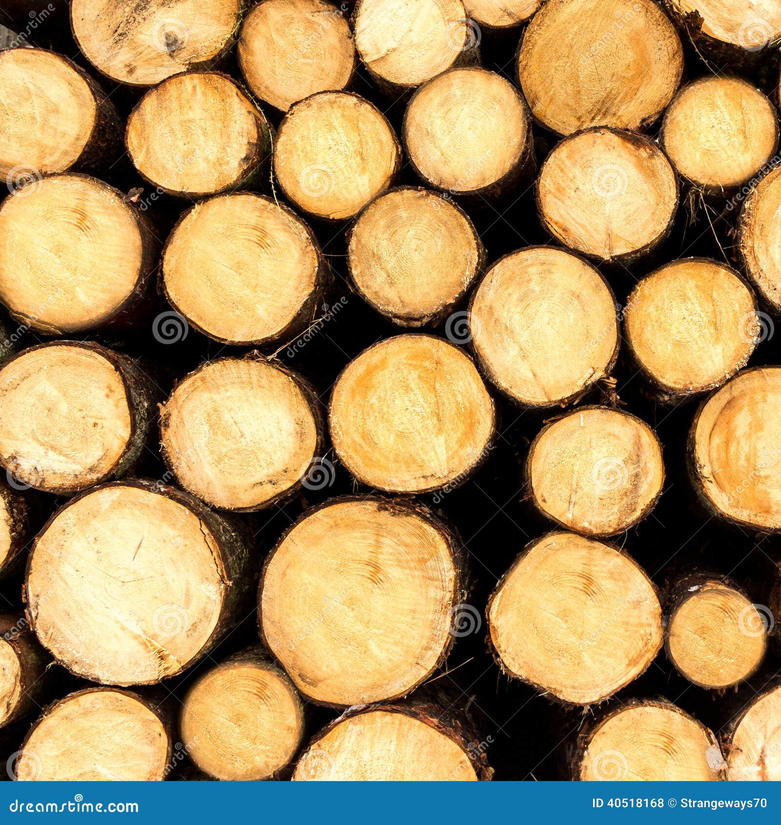 Chopped trees on a stack stock photo. Image of pattern - 40518168