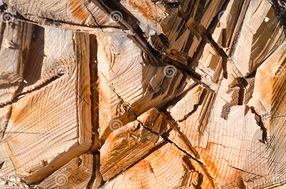 Chopped trunck stock image. Image of trunk, hard, brown - 58947017