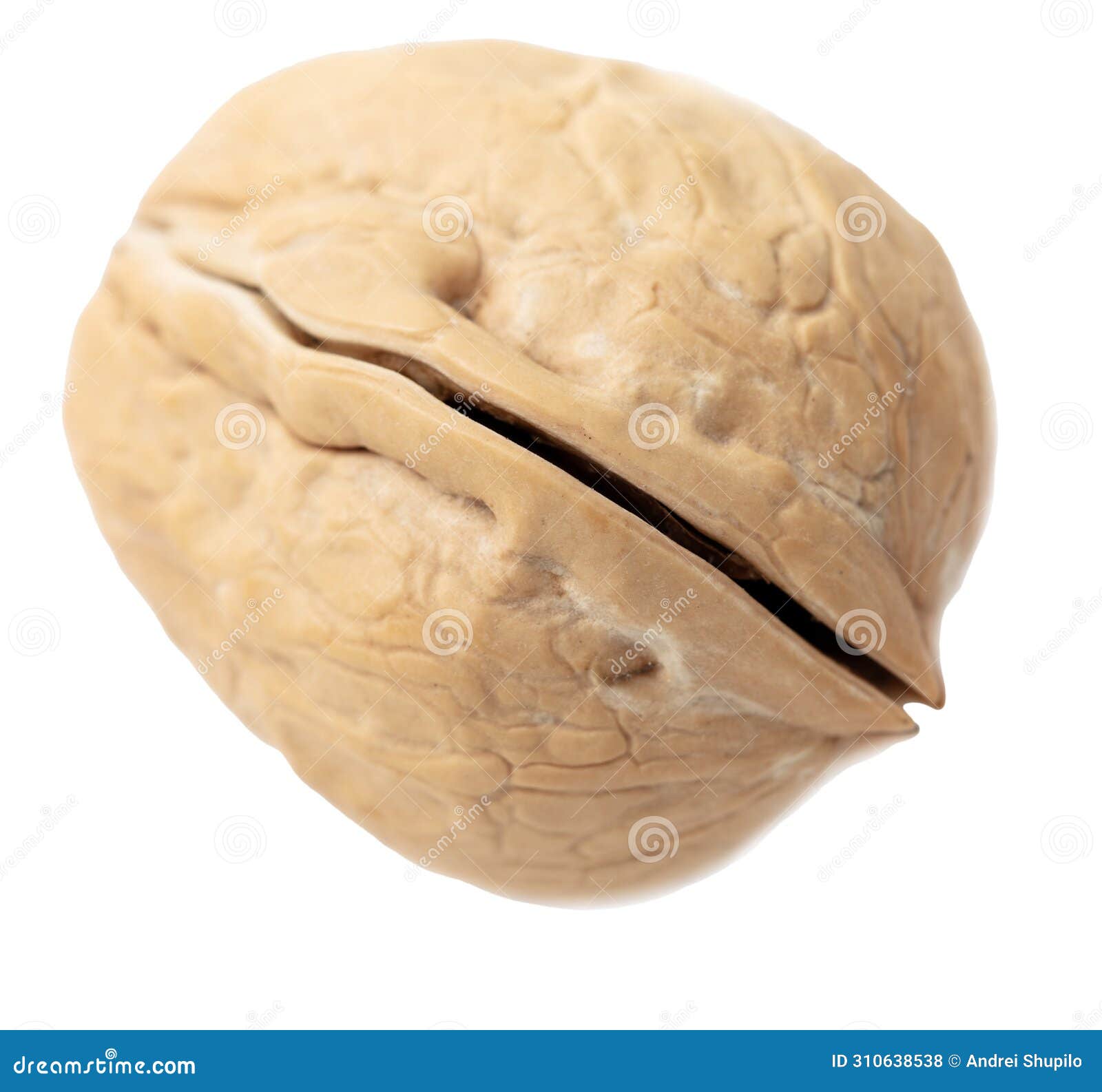 Chopped Walnut Isolated White Background Stock Photo - Image of pieces ...