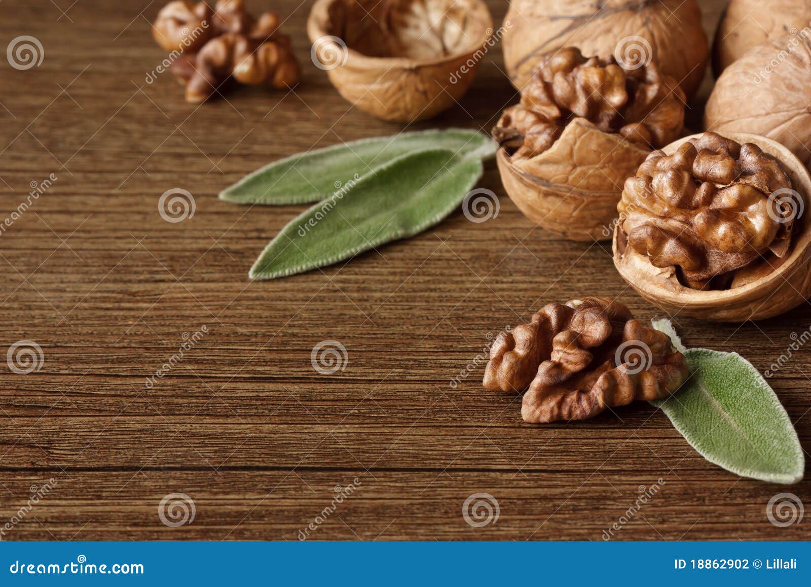 Chopped walnuts. stock photo. Image of diet, leaf, ingredient - 18862902