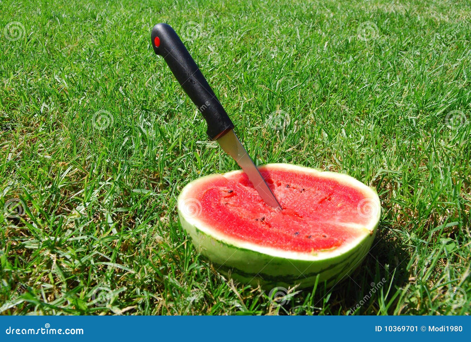 Chopped watermelon stock image. Image of flesh, juicy - 10369701