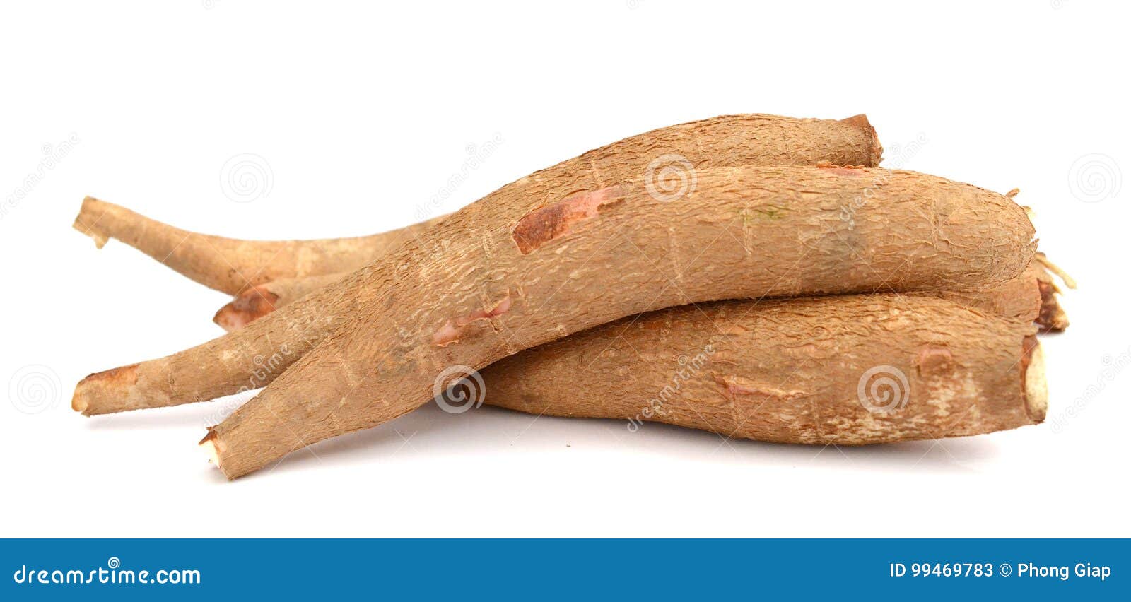 Chopped and whole cassava stock image. Image of matter - 99469783