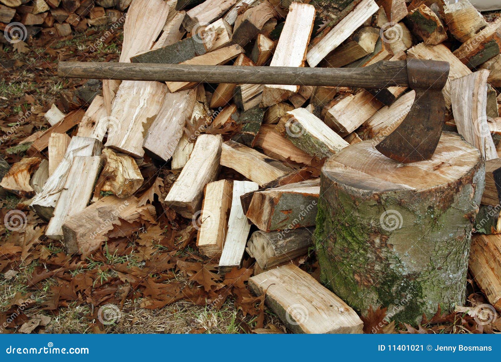 Chopped wood stock image. Image of branches, labouring - 11401021