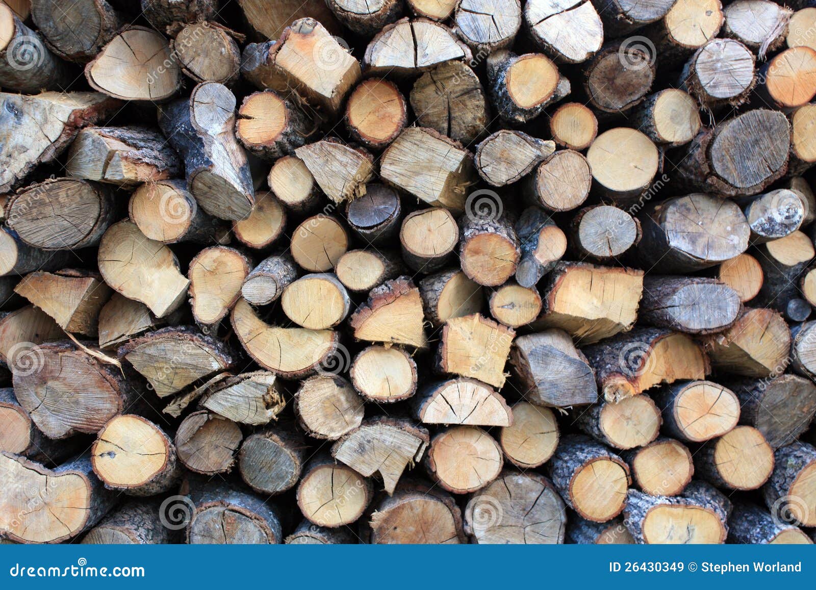 Chopped wood 2 stock image. Image of fire, insects, winter - 26430349