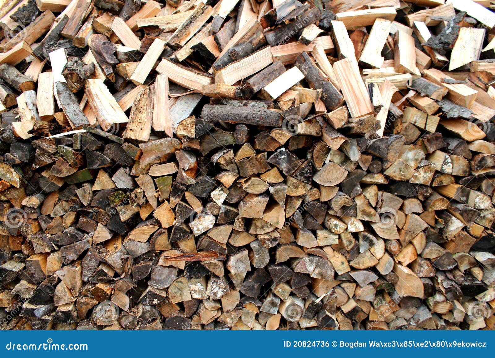 Chopped wood stock photo. Image of logging, single, trunk - 20824736